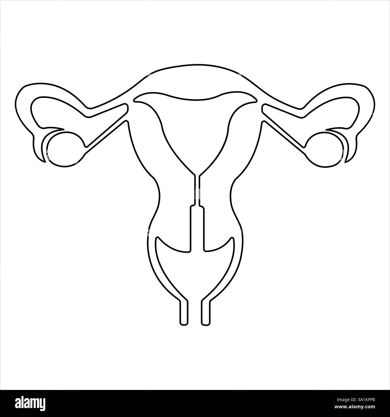 Female reproductive system diagram Black and White Stock Photos ...