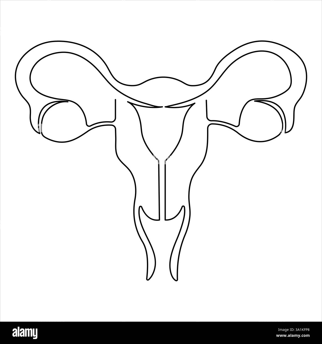 Female reproductive uterus of continuous single line art drawing and ...