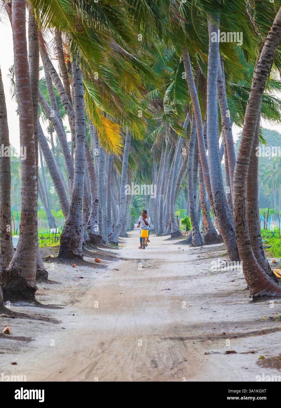 Thoddoo, Maldives - February 05, 2025: A local resident of Thoddoo ...