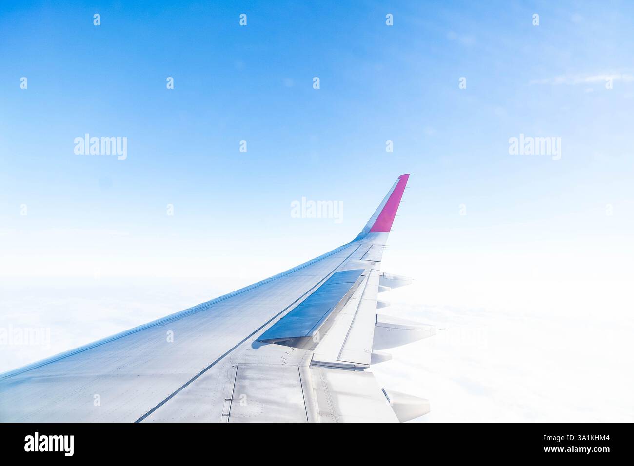 Gazing out from the cabin, a vivid view reveals the graceful curve of ...