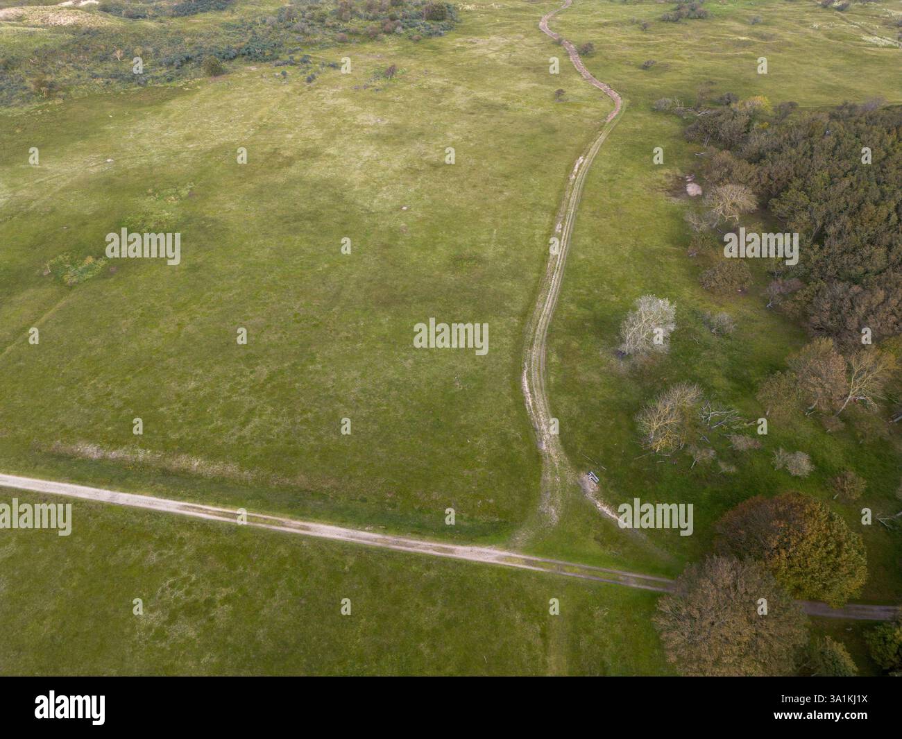 Aerial view of a grassy landscape with intersecting dirt paths ...