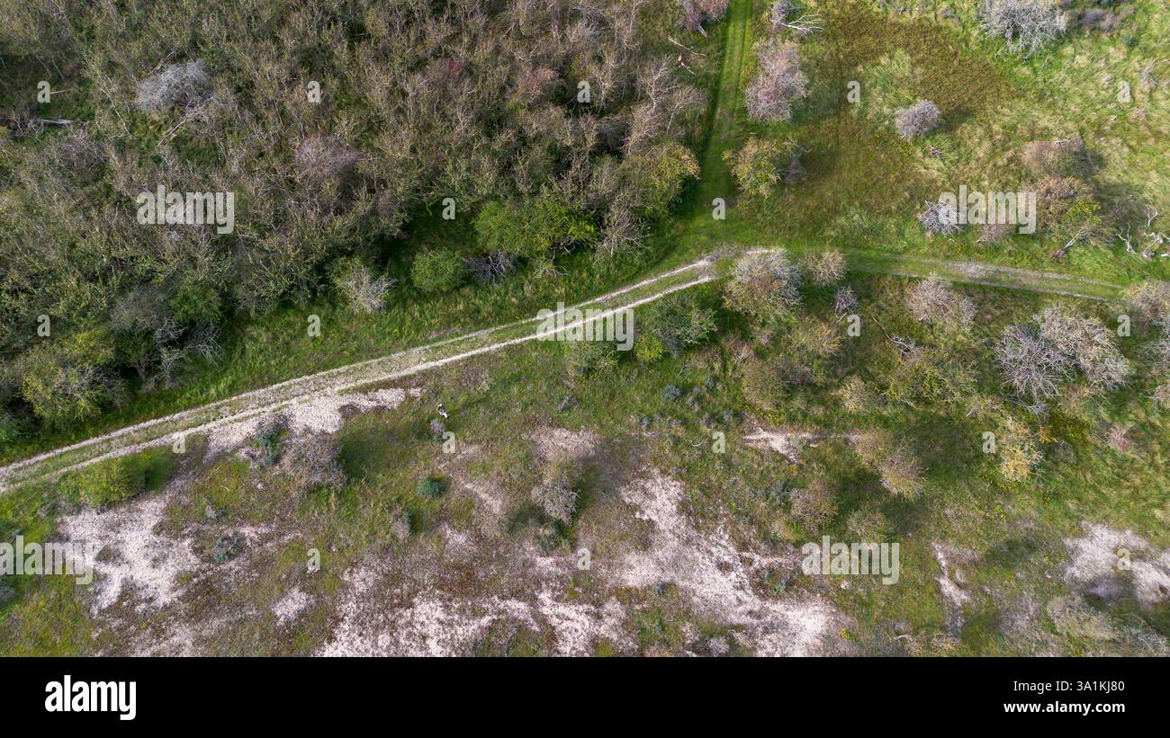 Aerial view capturing intersecting paths hi-res stock photography and ...