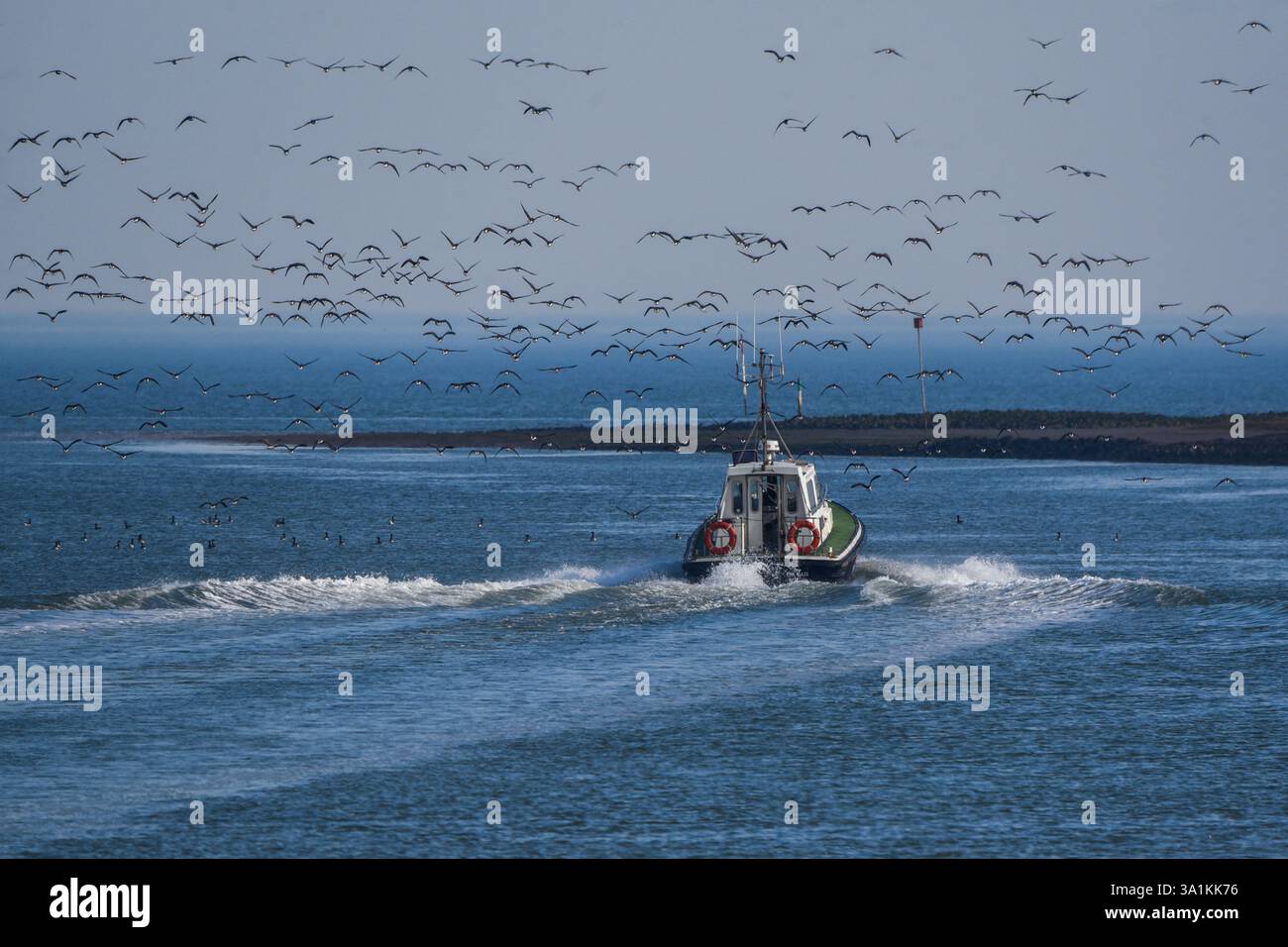 Boston Harbour Master Pilot boat Stock Photo - Alamy