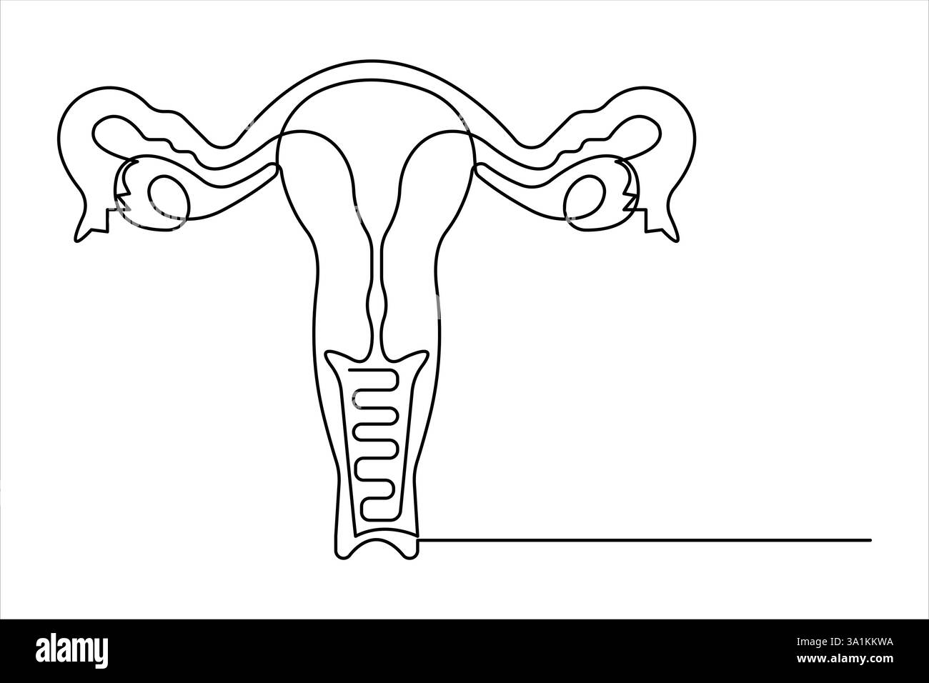 Female reproductive system diagram hi-res stock photography and images ...