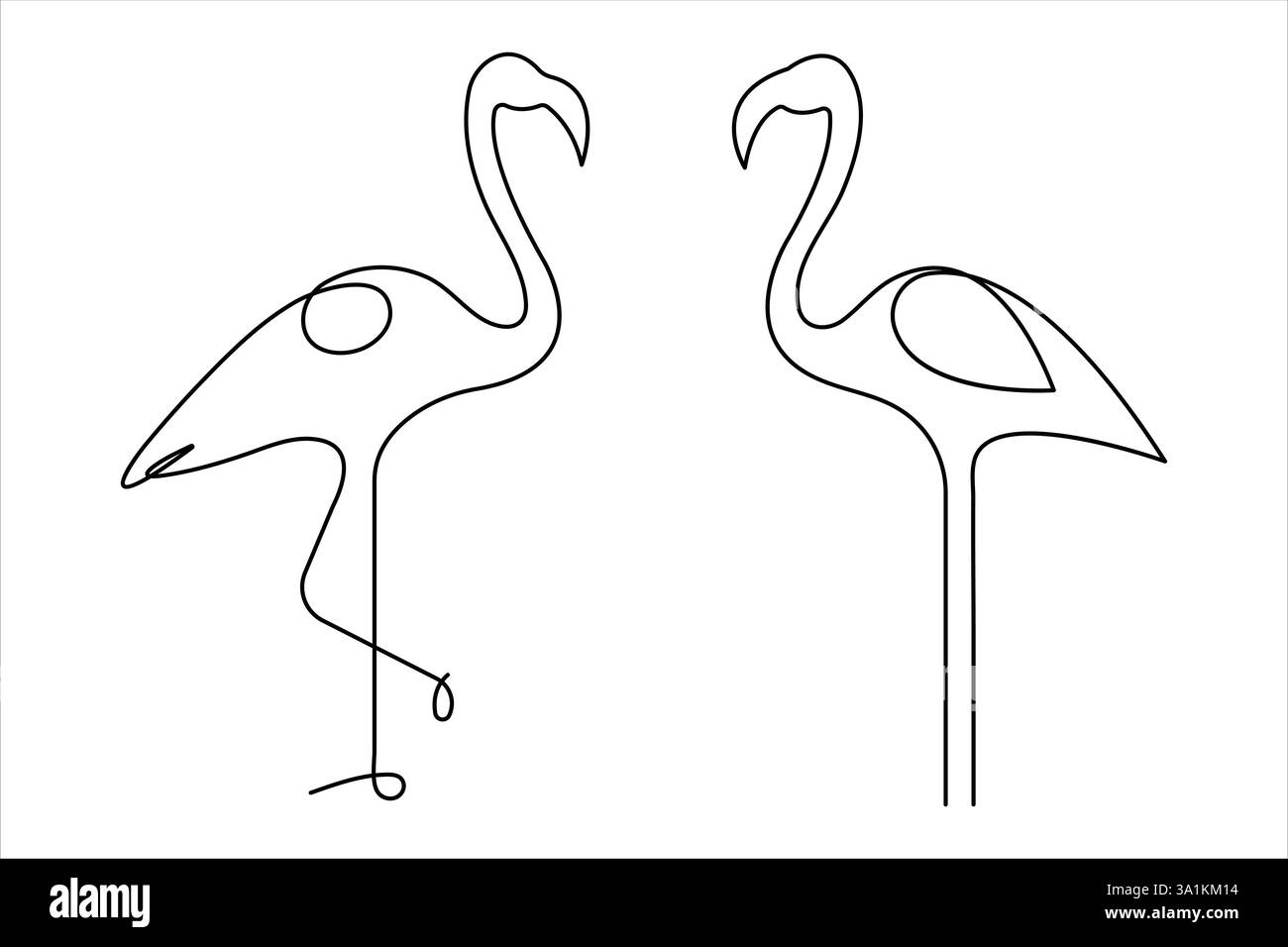 Flamingo continuous one line drawing of bird, flamingo simple contour drawing for modern ...