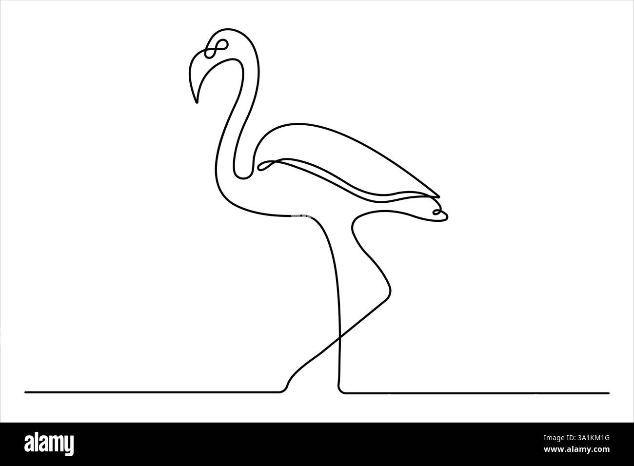 Flamingo continuous one line drawing of bird, flamingo simple contour ...