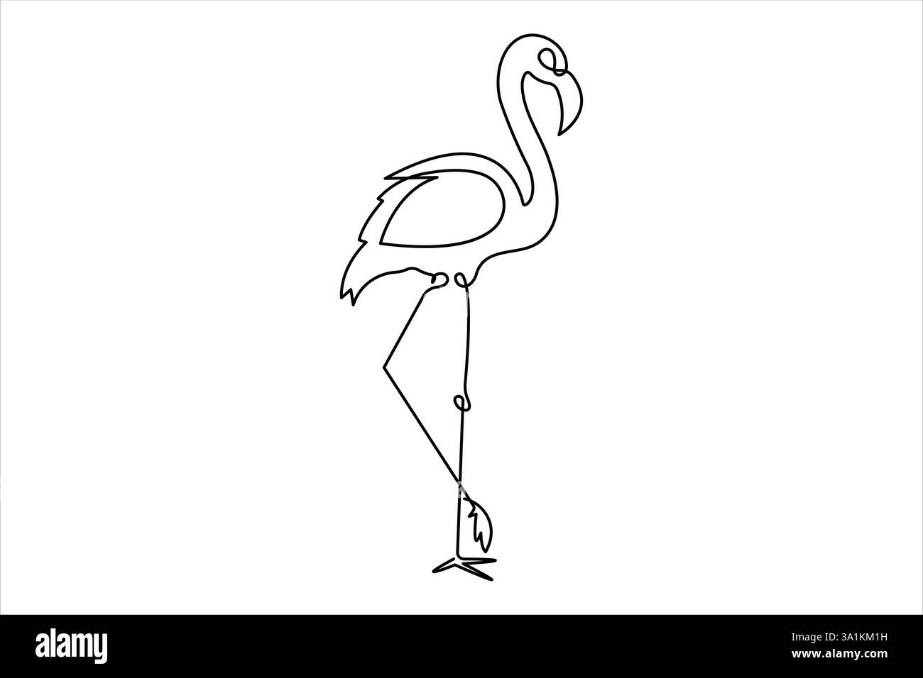 Flamingo continuous one line drawing of bird, flamingo simple contour ...
