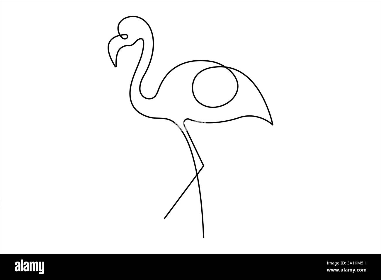 Flamingo continuous one line drawing of bird, flamingo simple contour drawing for modern ...