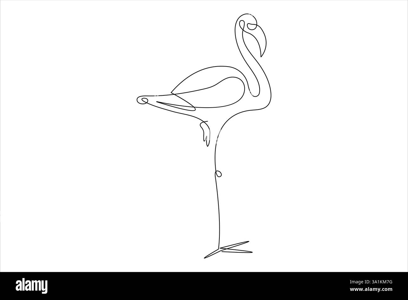 Flamingo continuous one line drawing of bird, flamingo simple contour ...
