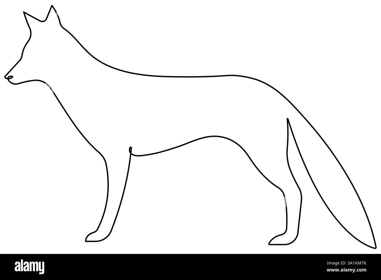 One line wild fox Cut Out Stock Images & Pictures - Alamy