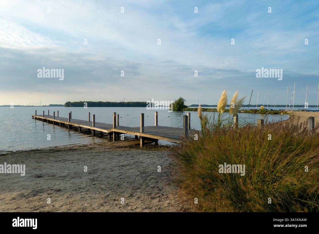 Romantischer Steg aus Holz am Veluwemeer in den Niederlande Stock Photo ...