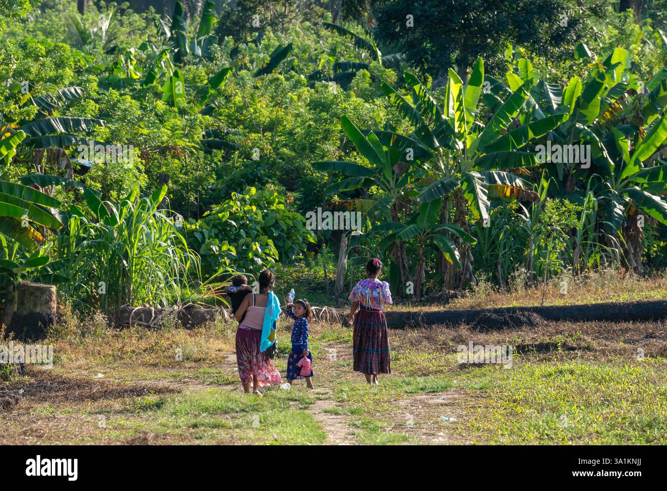 People walk past palm trees in the Q'eqchi village of Chinebal ...