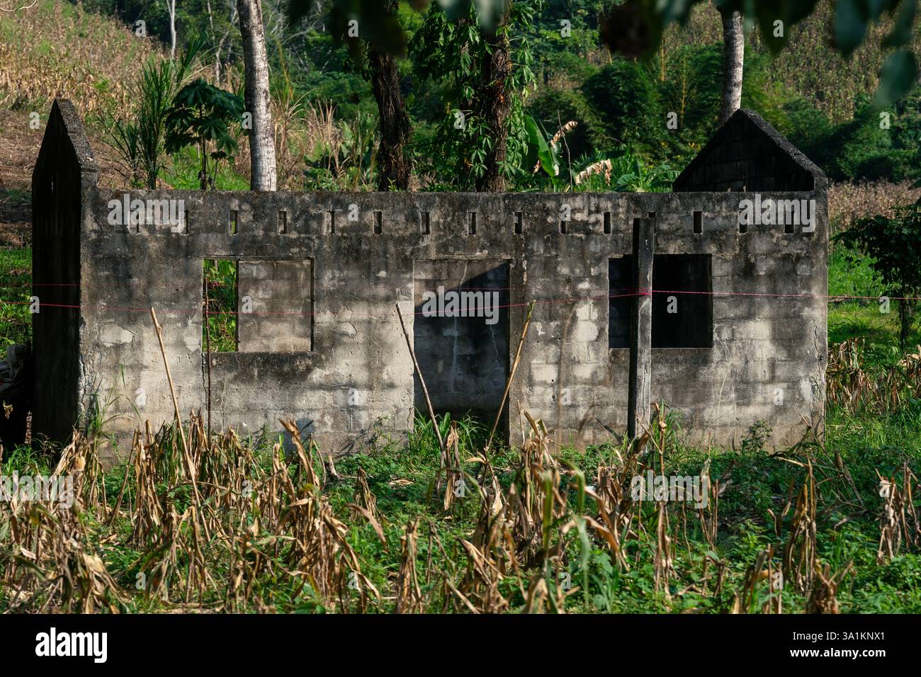 An abandoned house in Guatemala. The Mayan people’s struggle to keep ...