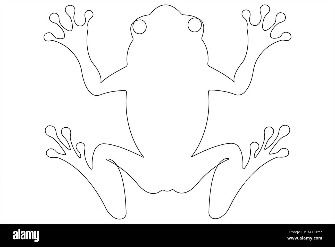 Frog line art hi-res stock photography and images - Alamy