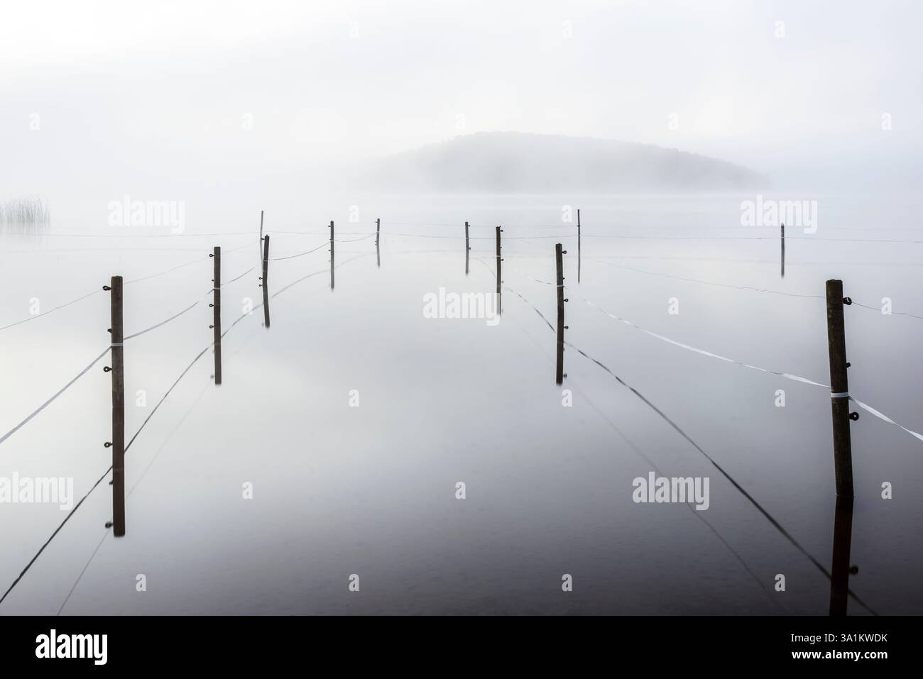 Calm waters reflect the dense fog hanging over the lake in Sweden ...