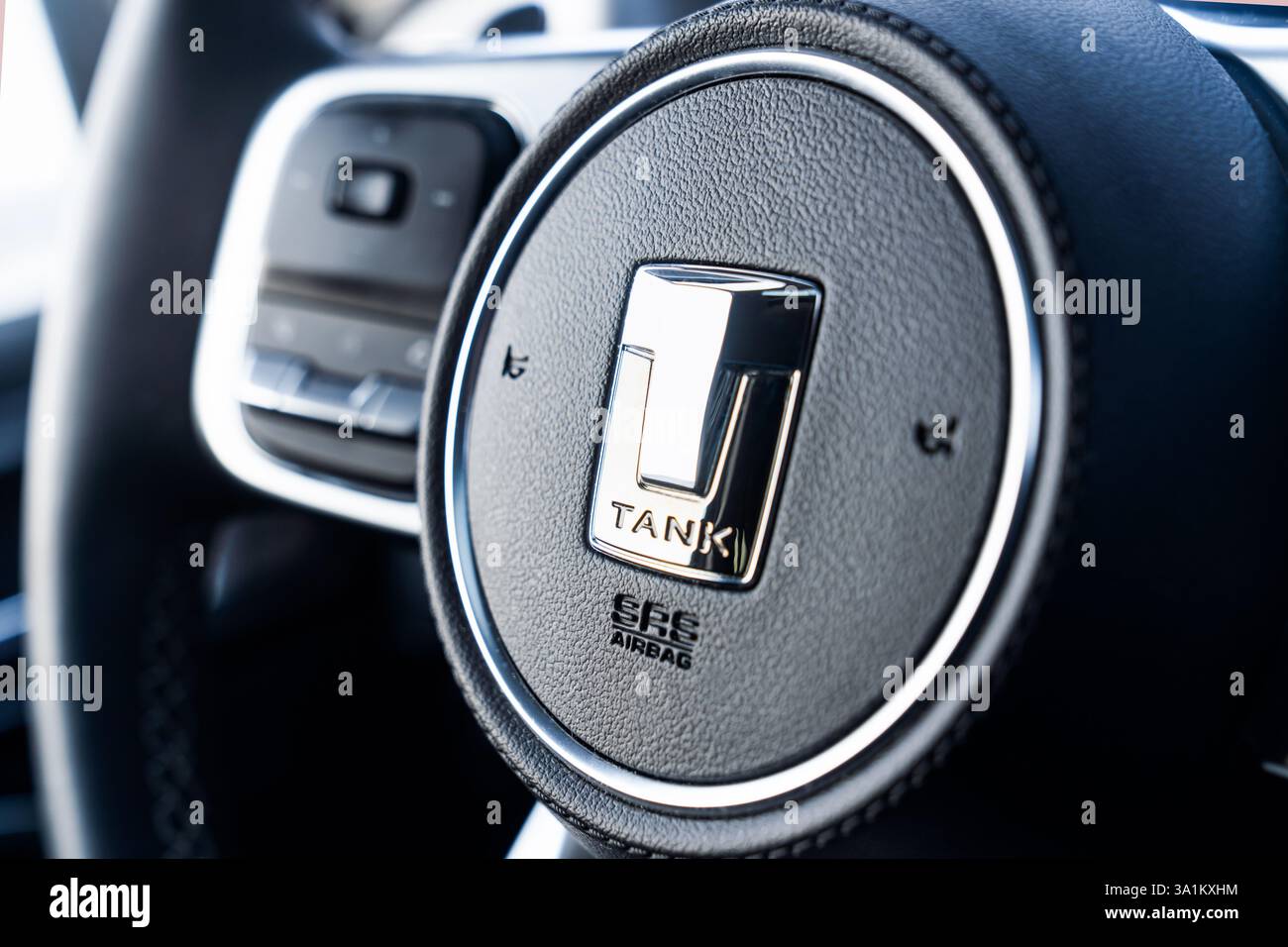 A close-up of the Tank logo on the steering wheel of a modern car ...