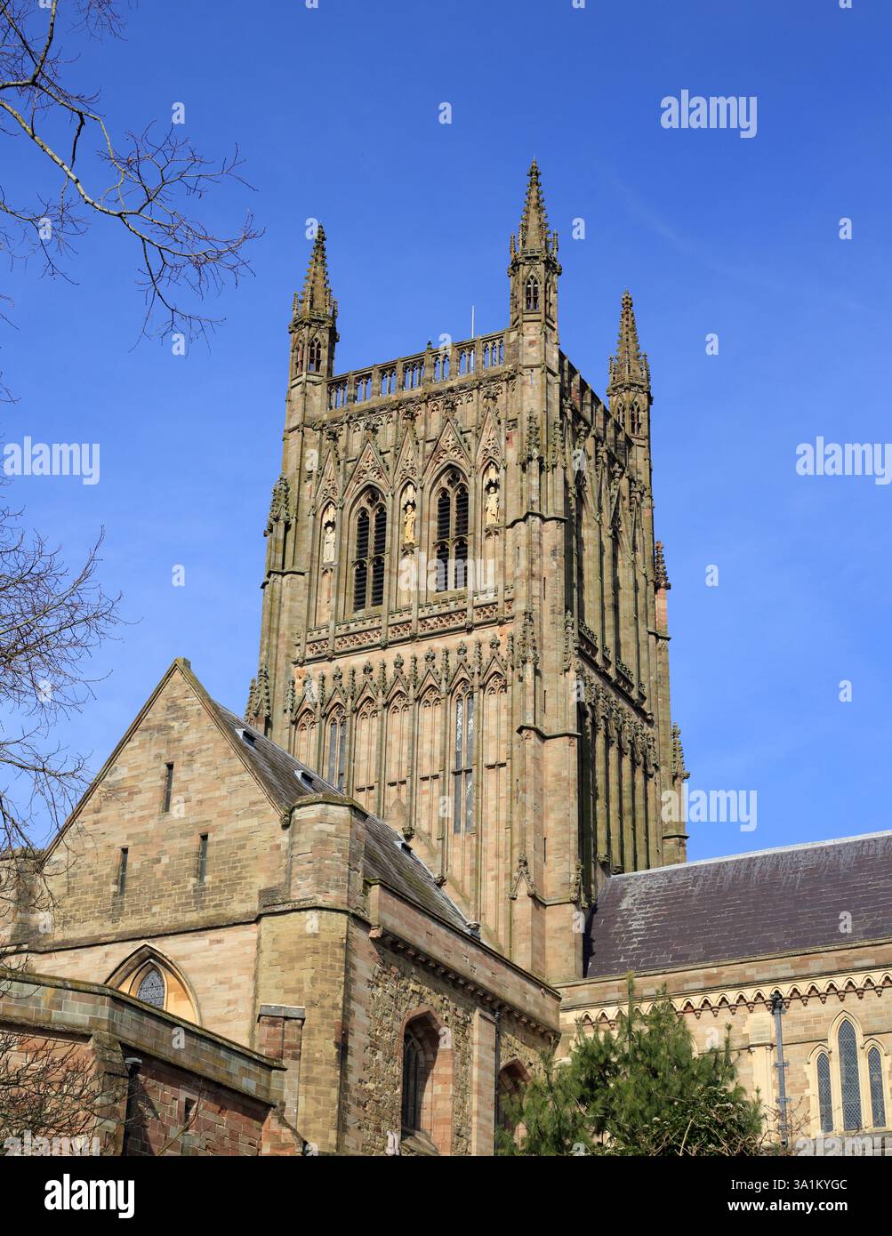 The tower of Worcester cathedral, Worcestershire, England, UK Stock ...