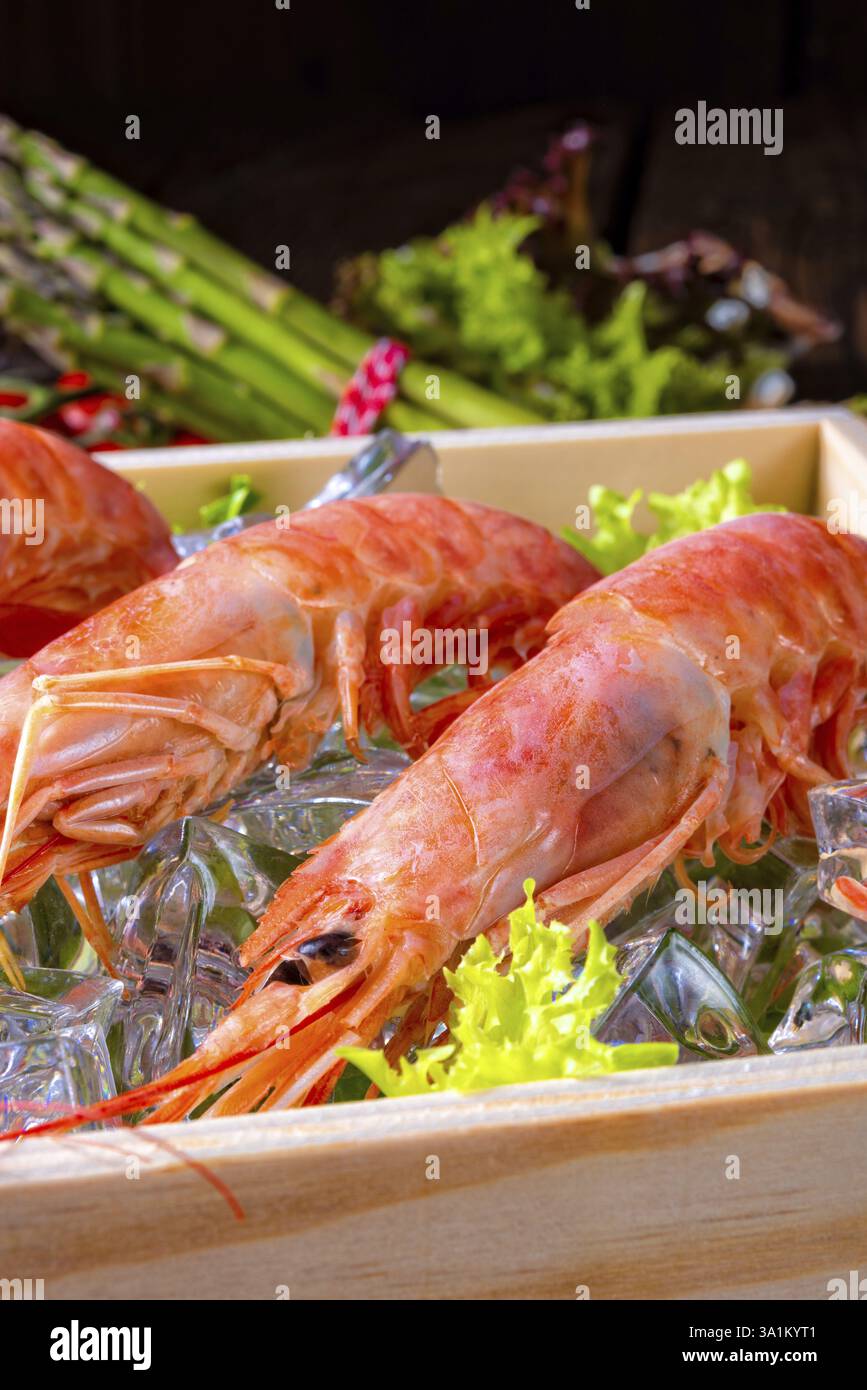 Red cooked prawns on hi-res stock photography and images - Alamy