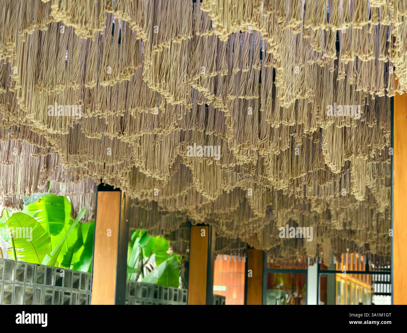 Artistic ceiling installation with hanging natural fibers, arranged in ...