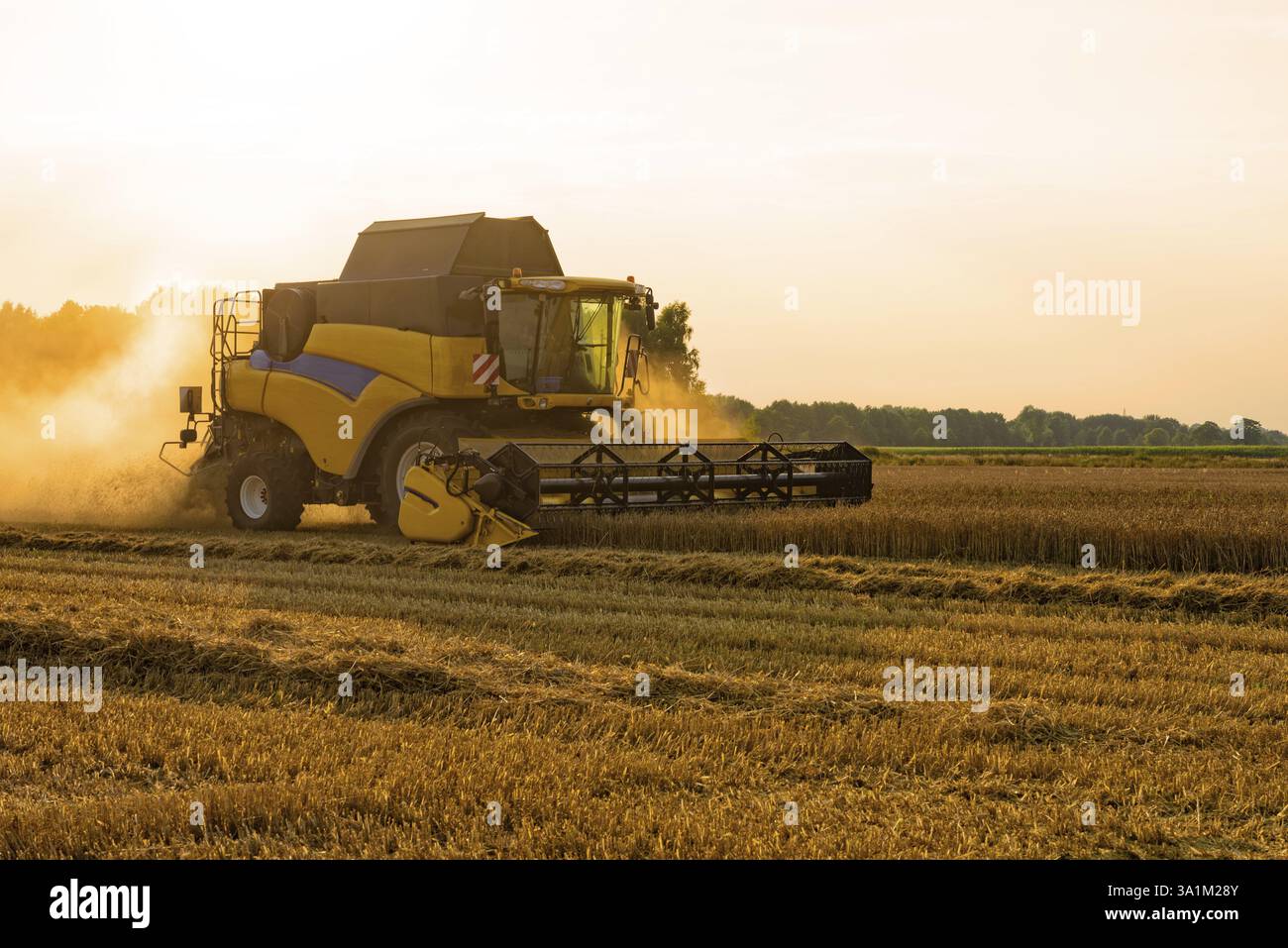 Big combine harvester threshing in the sunset Stock Photo - Alamy