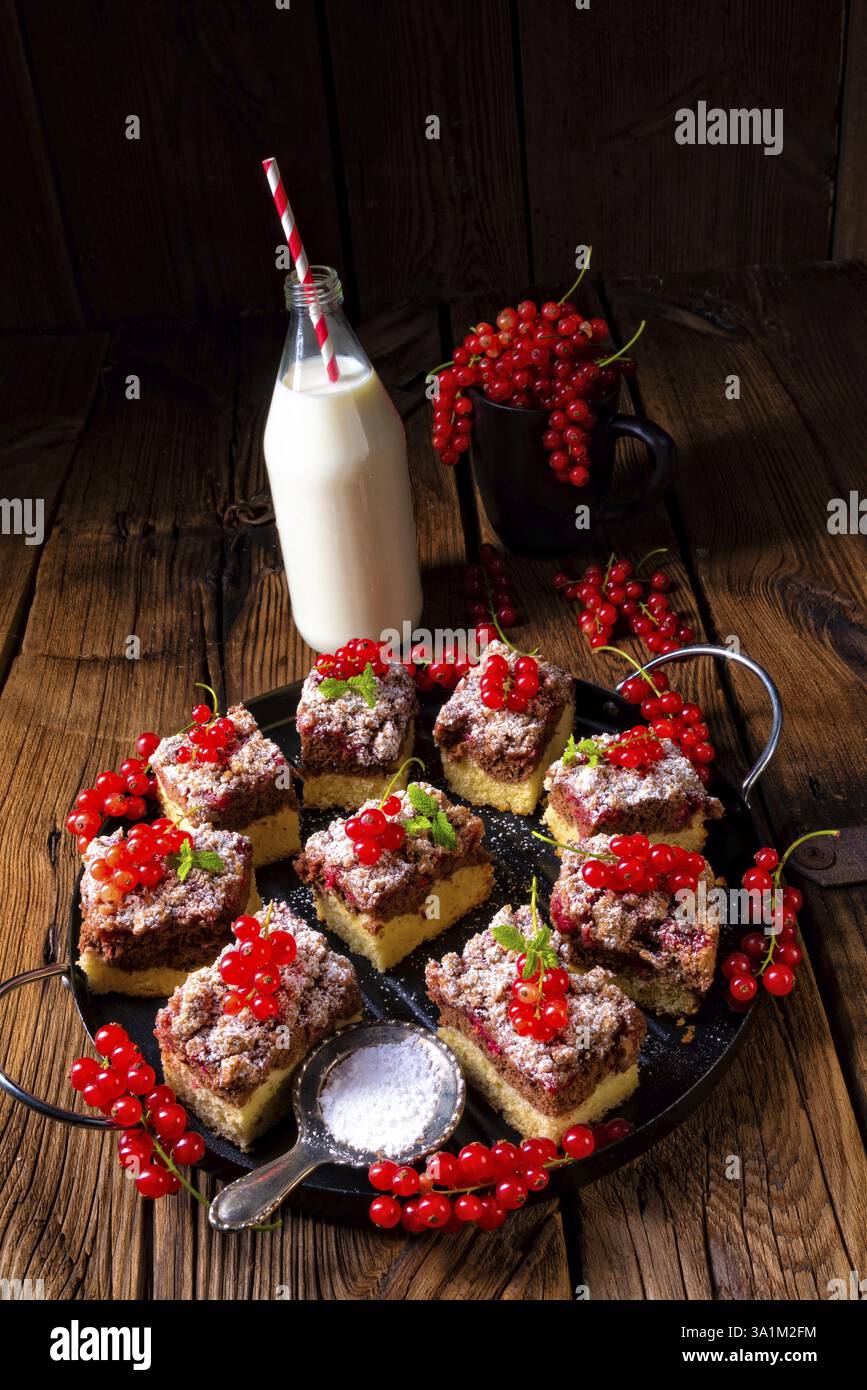 Gorgeous juicy chocolate cake with red currant Stock Photo - Alamy