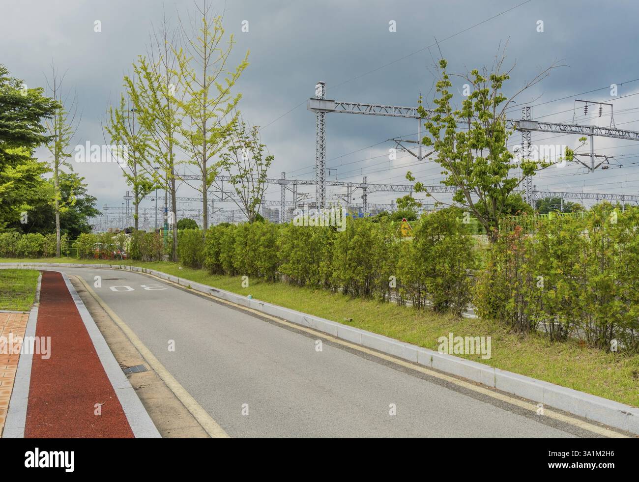 Railway line rows trees hi-res stock photography and images - Alamy