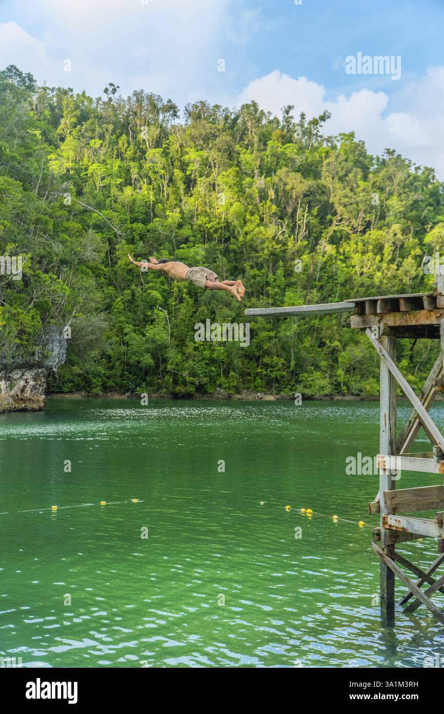 Tourist diving from a wooden springboard into the turquoise waters of ...