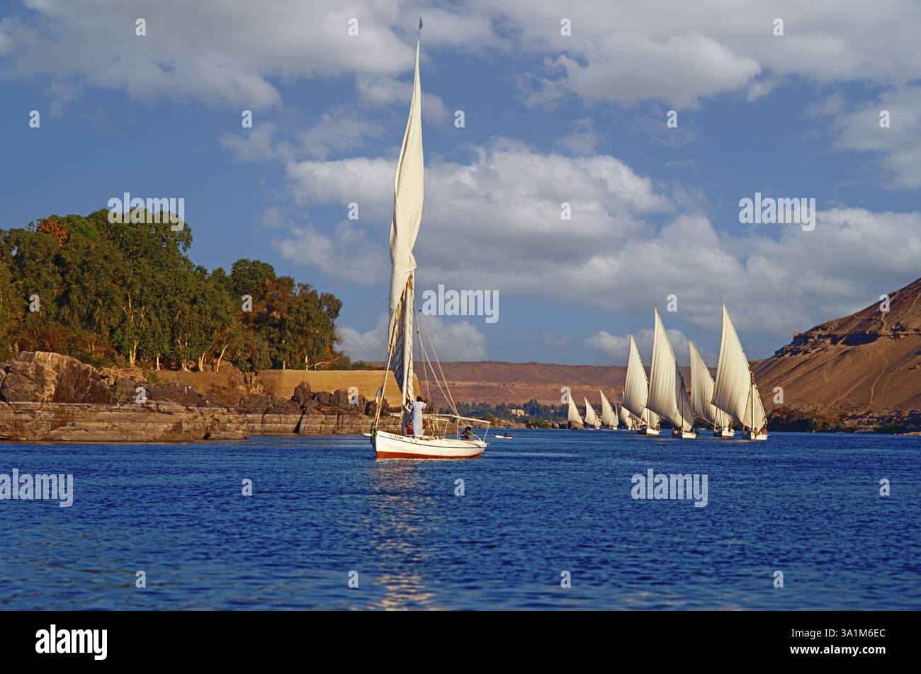 Feluccas on the Nile near Aswan, Egypt, Africa Stock Photo - Alamy