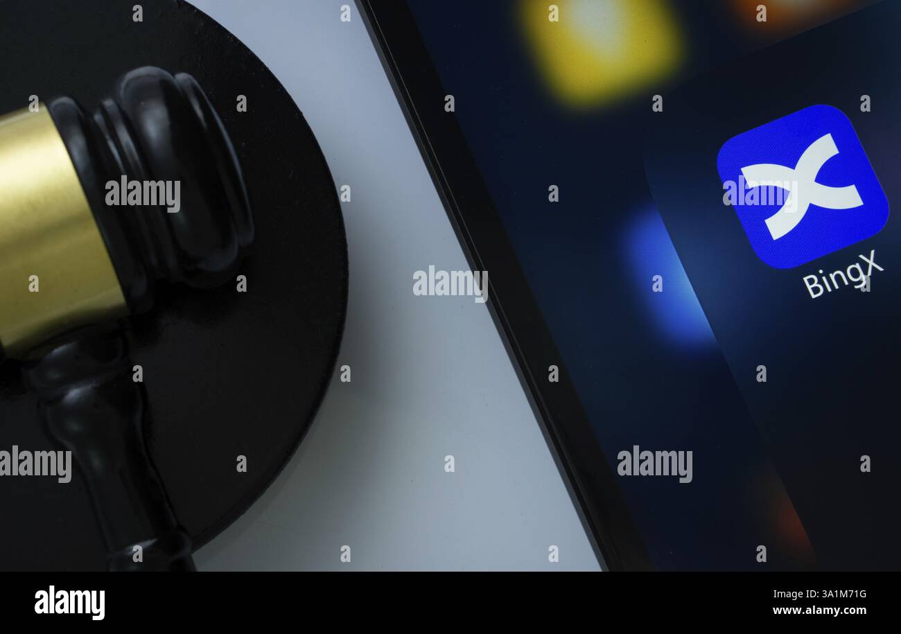 A close up of an iPad screen displaying the bingX app alongside a judge ...