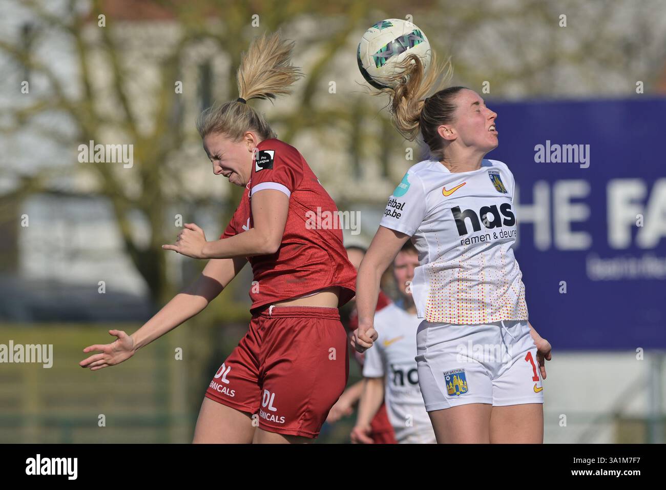 Zulte, Belgium. 08th Mar, 2025. Amber Bert (10) of Zulte-Waregem and ...