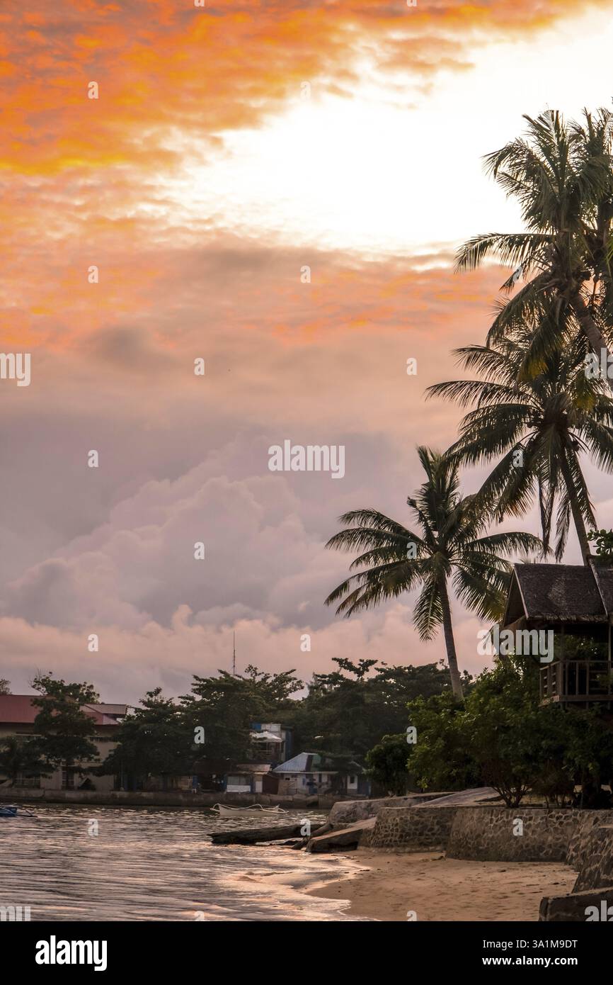 Vibrant sunset illuminating palm trees and houses along the coast of ...
