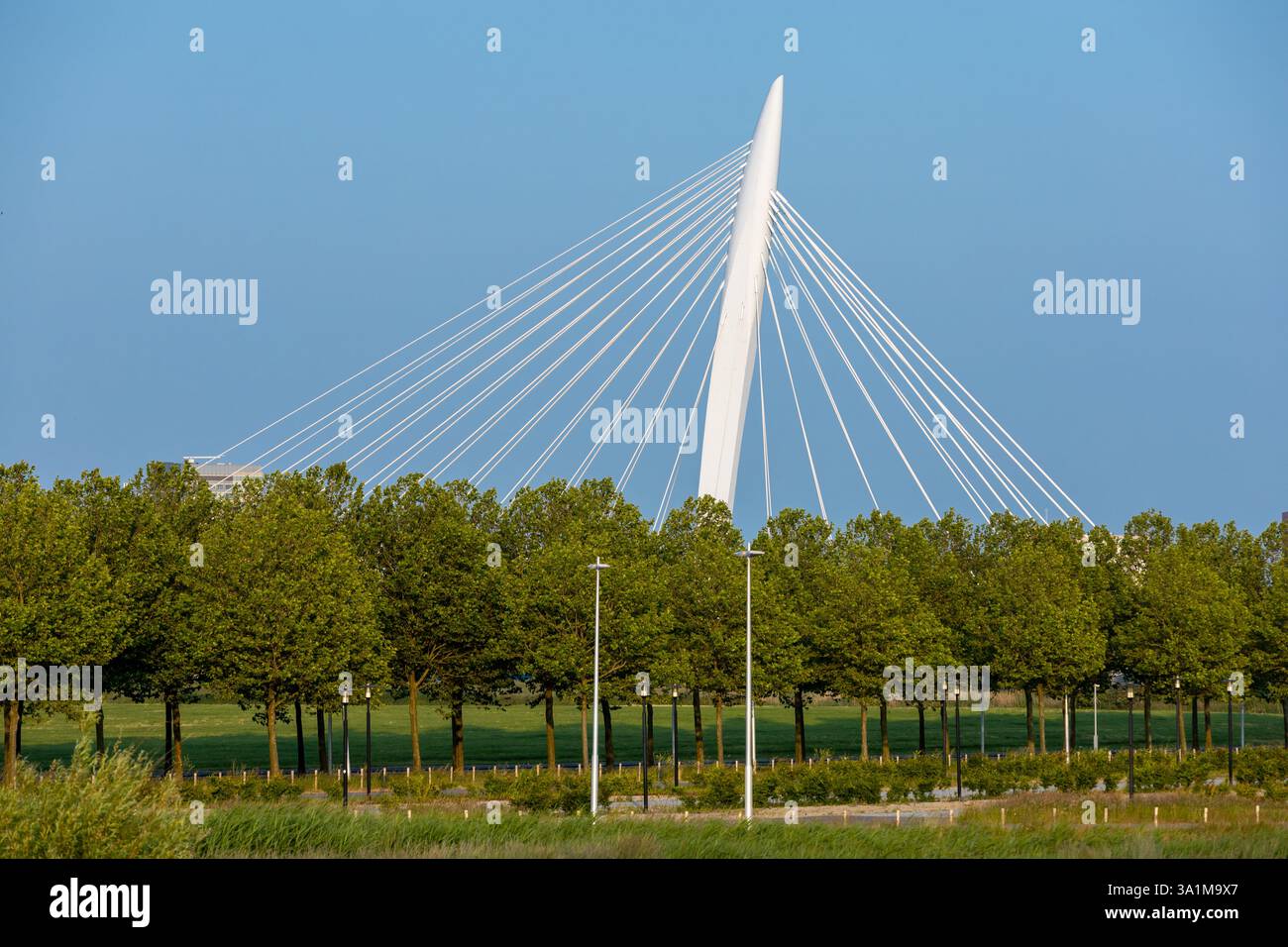 The Prins Clausbrug is a steel cable-stayed bridge over the Amsterdam ...