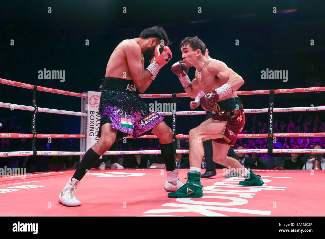 Purple boxing trunks hi-res stock photography and images - Alamy