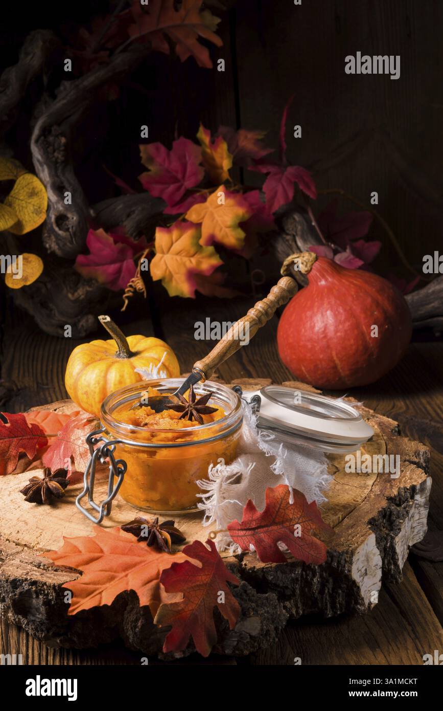 Ein koestlicher herbstlicher cremiger hokkaido kuerbis pure Stock Photo ...