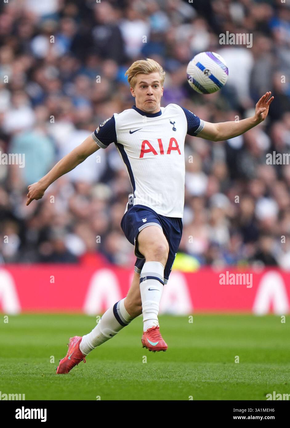 Tottenham Hotspur's Lucas Bergvall in action during the Premier League ...