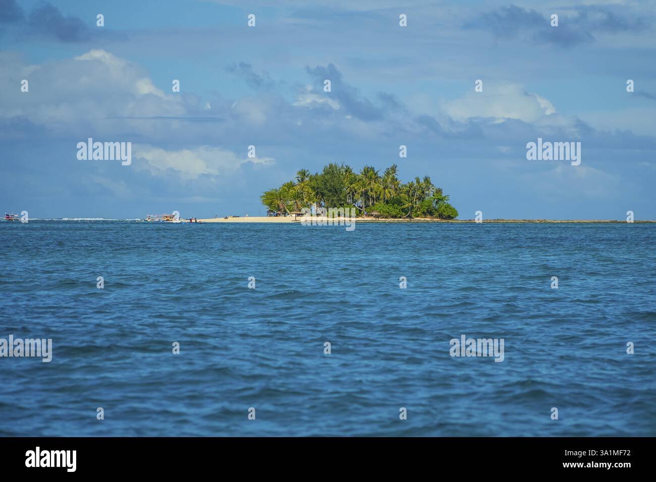 Daku island, a tropical paradise in siargao, philippines, offers ...