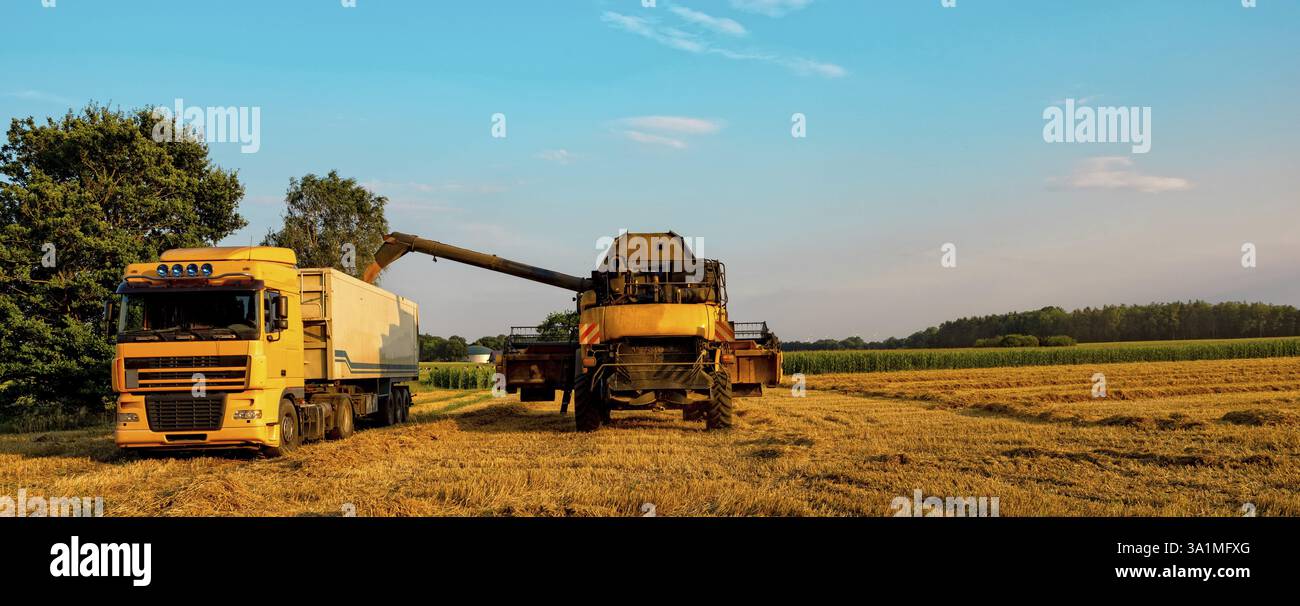 Big combine harvester threshing hi-res stock photography and images - Alamy