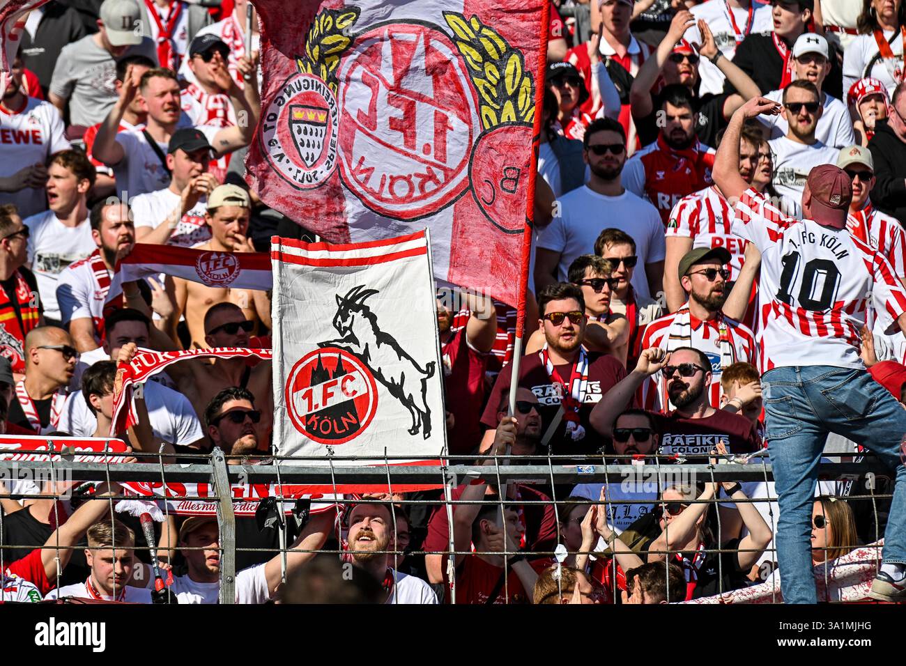 08.03.2025, Donaustadion, Ulm, GER, 2. BL, SSV Ulm 1846 vs 1. FC K?ln ...