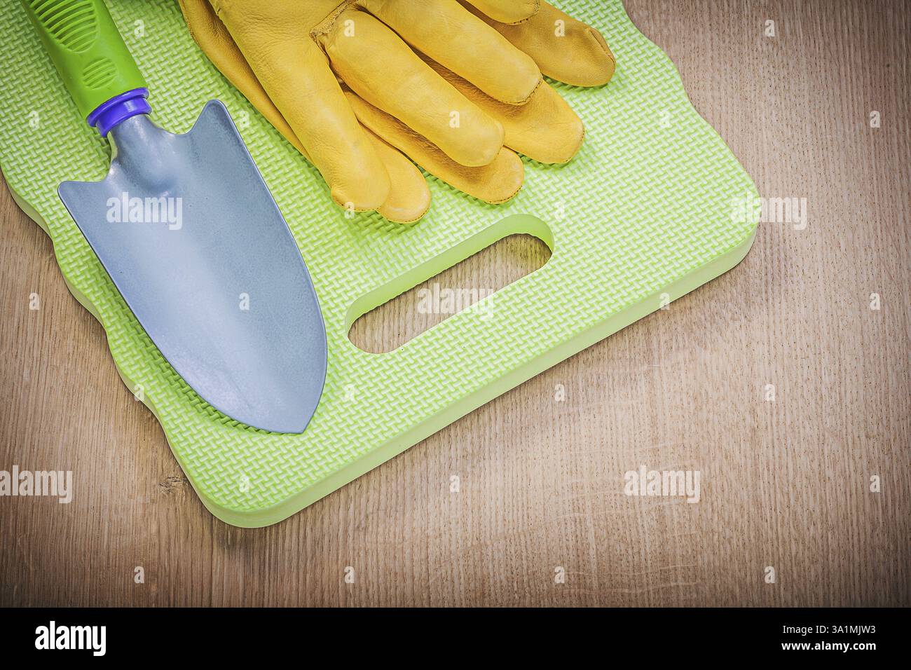 Sponge synanym hi-res stock photography and images - Alamy