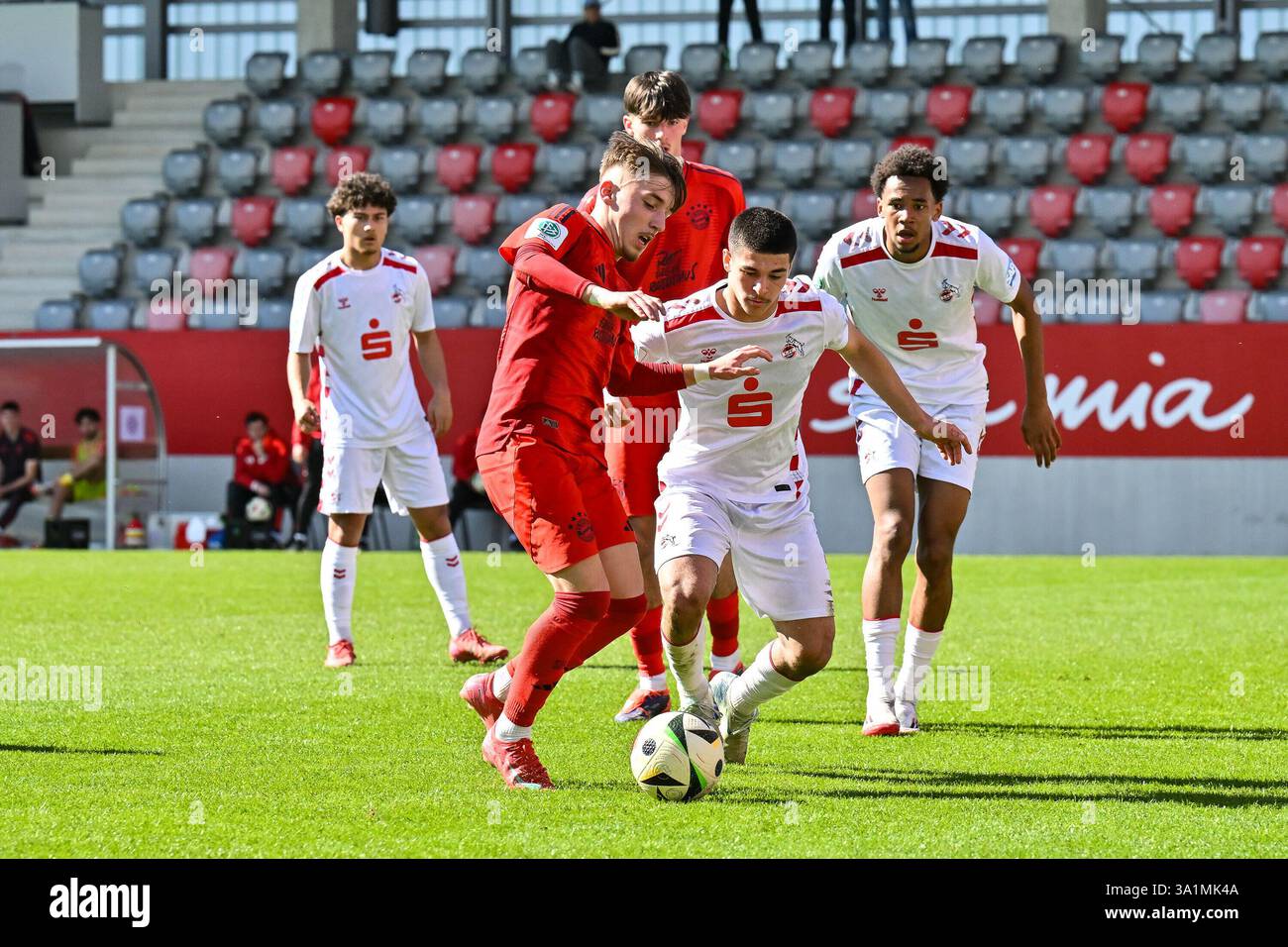 im Duell Lennart KARL (FCB #7) und San-Luca SPITALI (1. FC Koeln U19 3)/Zweikampf/A-Junioren ...