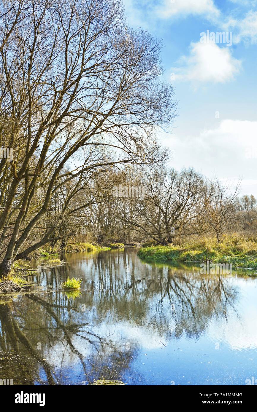 NAn leafy trees on small river Stock Photo - Alamy