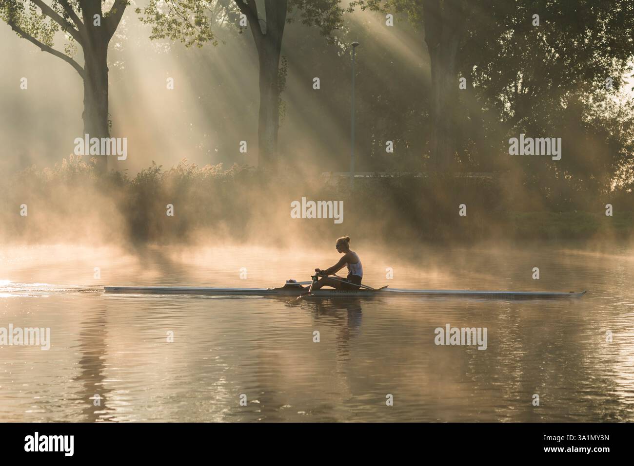 Amsterdam, The Netherlands: rowing woman on a beautiful autumn morning ...