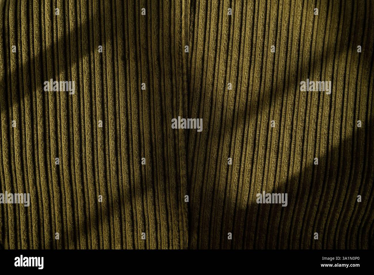 Moss green corduroy fabric texture with ribbed pattern and dramatic ...