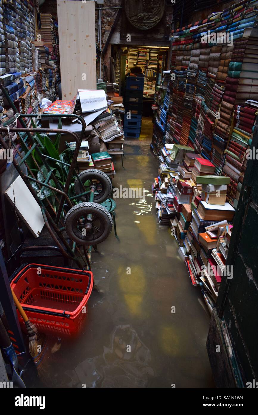 A unique view of a library in Venice submerged during Acqua Alta ...