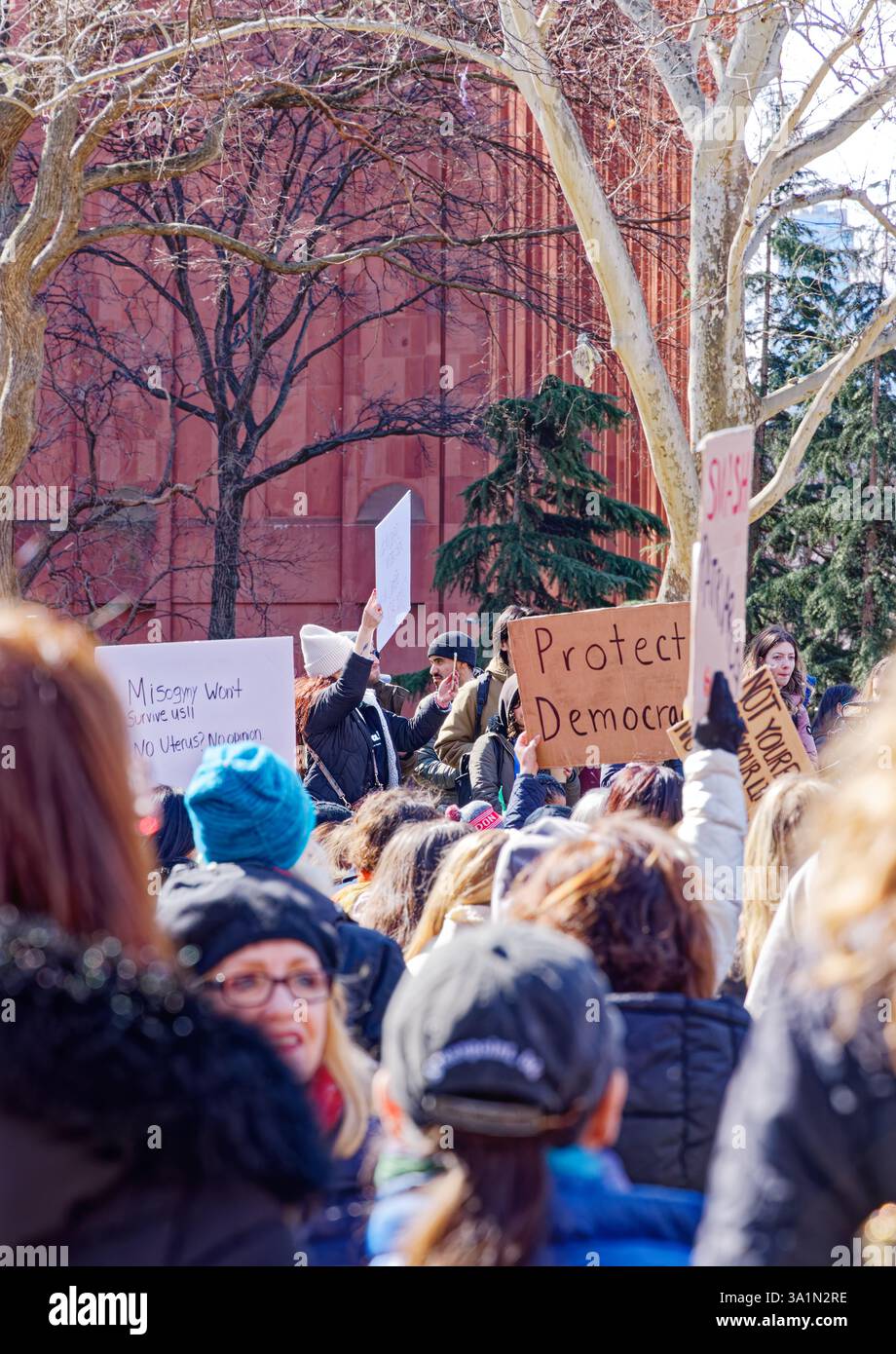 PROTECT DEMOCRACY - International Women’s Day rally and march, 8 March ...
