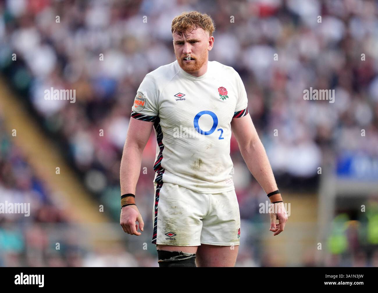 England's Ollie Chessum during the Guinness Men's Six Nations match at ...