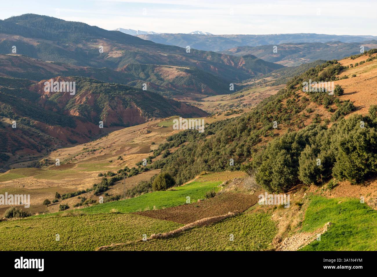 A small mountain road in Morocco's Khenifra Province, through the ...