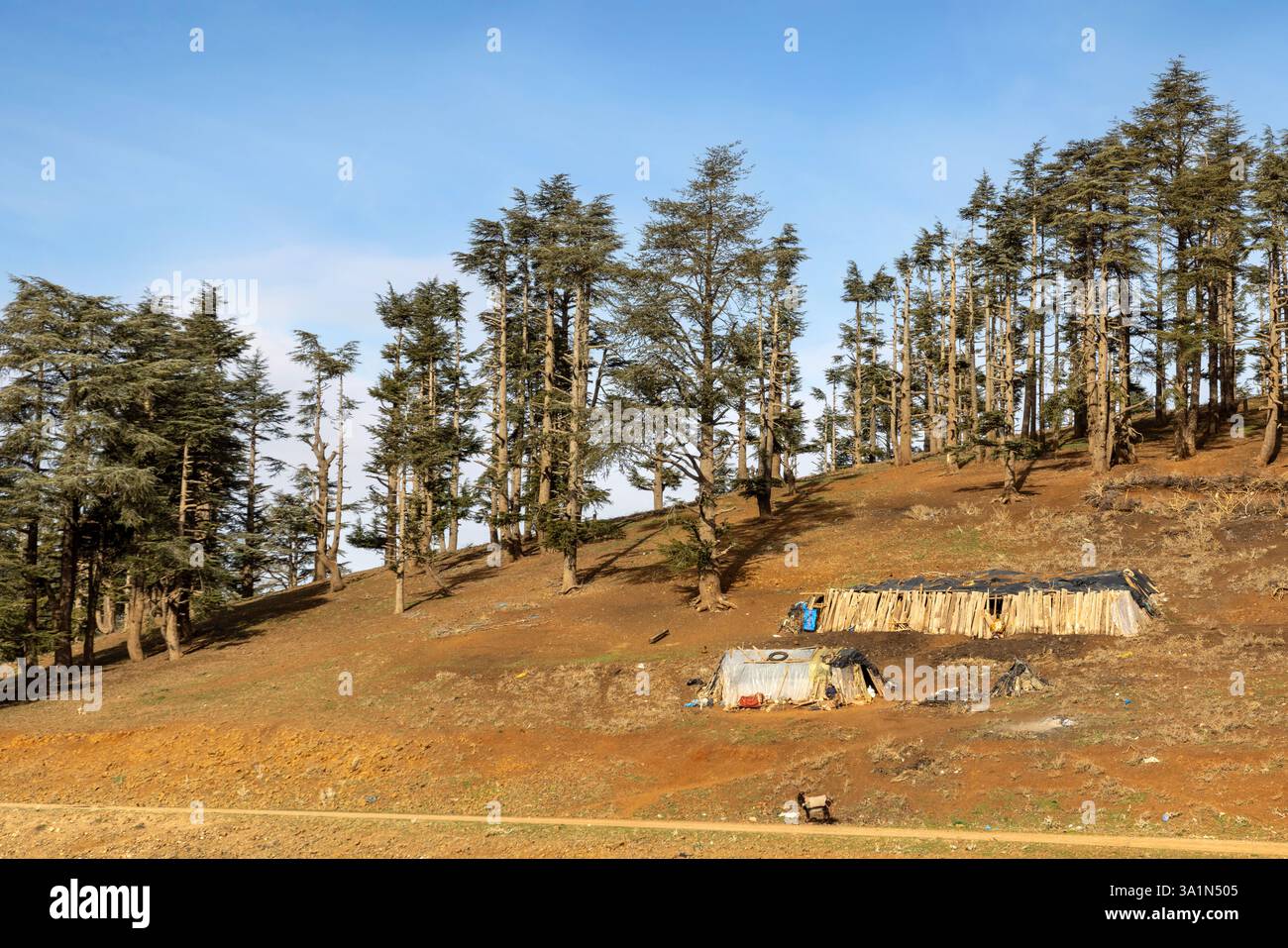 A small mountain road in Morocco's Khenifra Province, through the ...