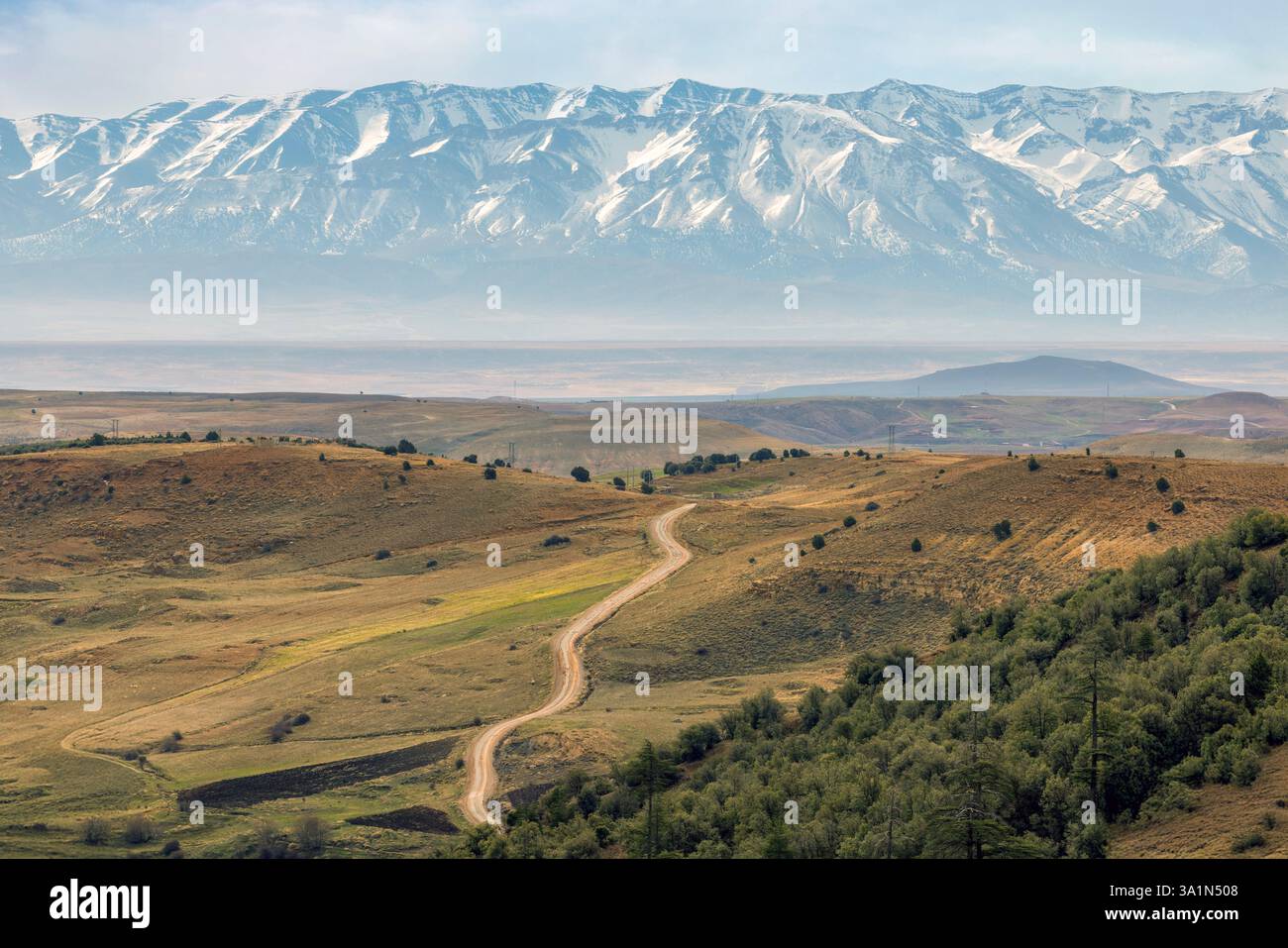 Khenifra national park hi-res stock photography and images - Alamy