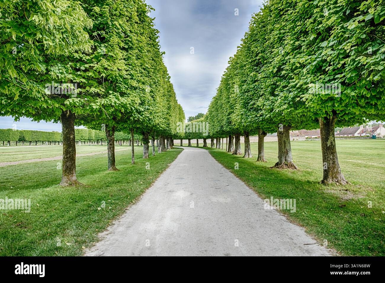 Two rows of trees frame a long path leading through the grounds of a ...